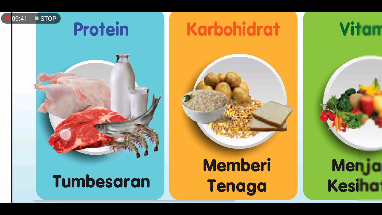 7 Kelas Makanan Sains Tahun 3 Kelas Makanan Dan Khasiatnya