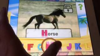 Animal Alphabet With Geoffrey The Giraffe