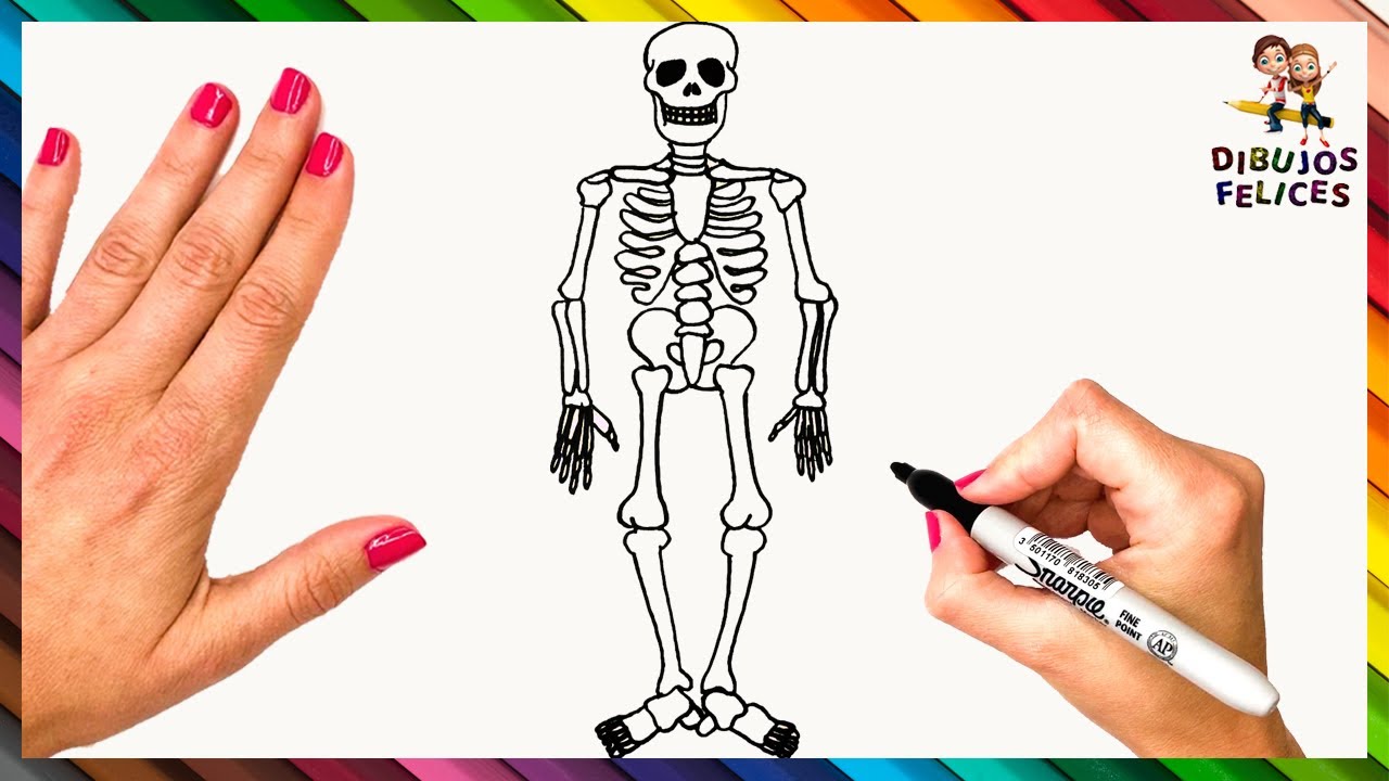 Cгіmo Dibujar Un Esqueleto Paso A Paso рџ ђрџ ґ Dibujo Fгўcil De Esqueleto