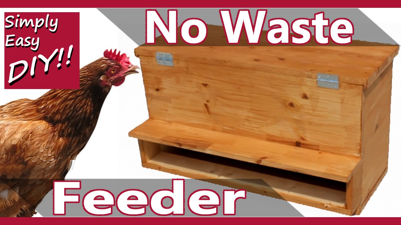 Zero Waste Chicken Feeder Youtube