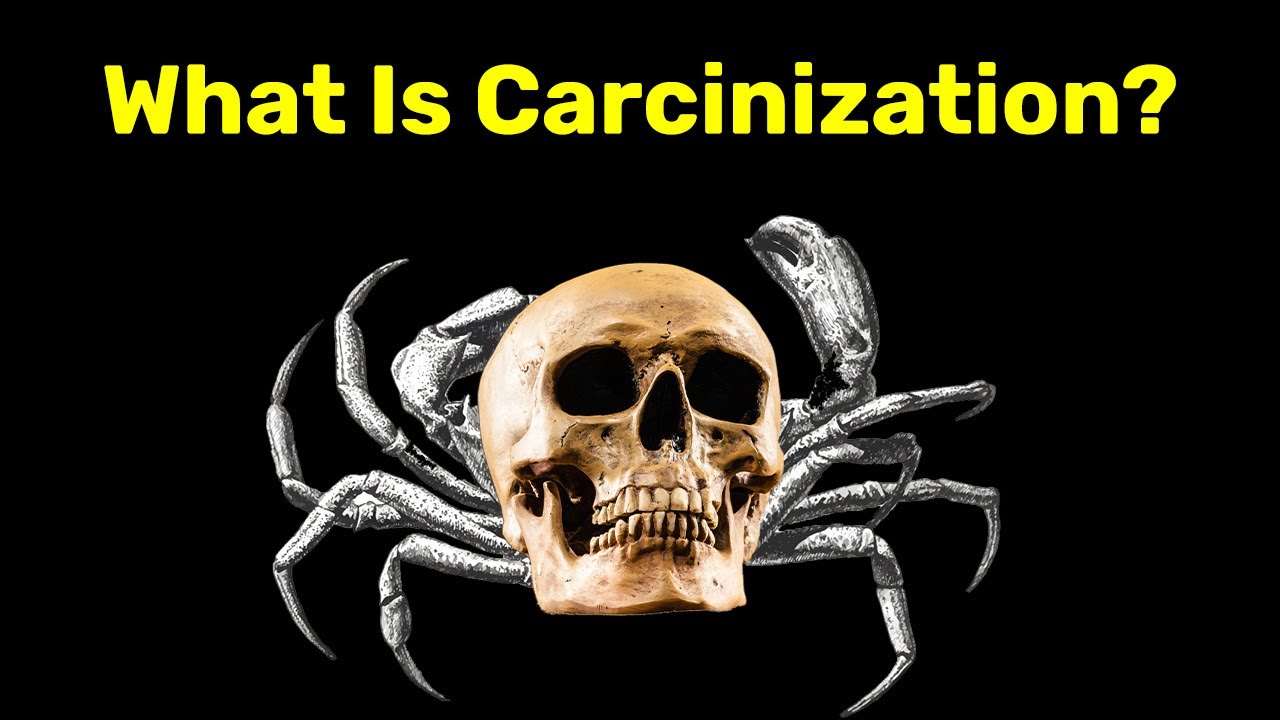 Why Everything Evolves Into Crabs Youtube