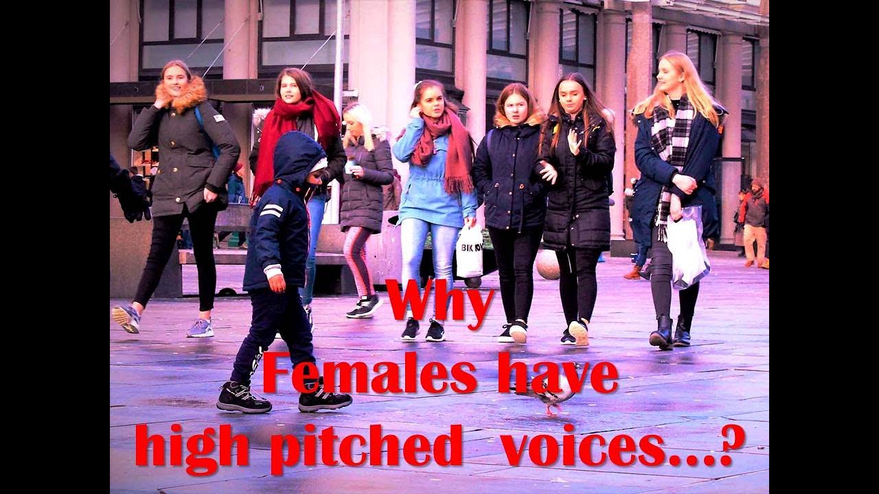 Why Do I Hate High Pitched Voices At Laura Stanley Blog