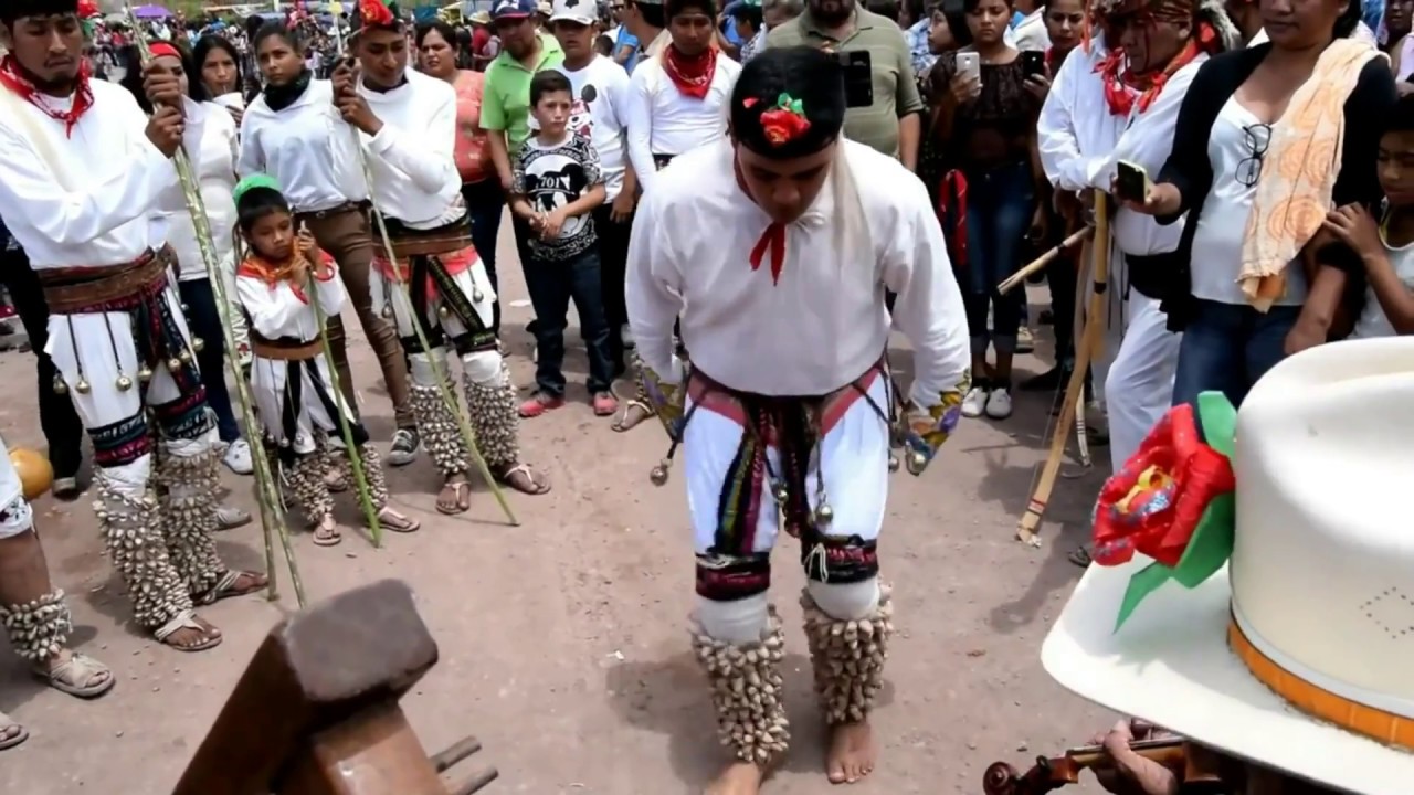 Son De Pascola Mayo En San Miguel Zapotitlan Youtube