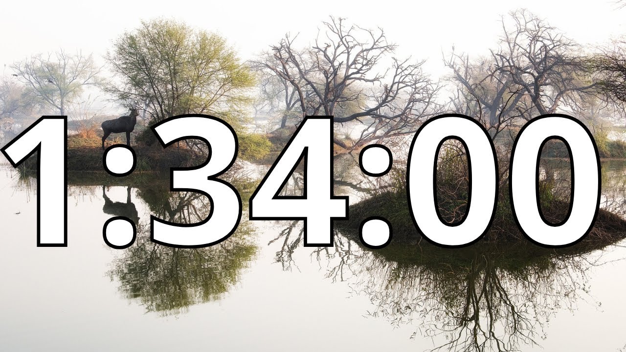 1 Minute Timer With Alarm At The End
