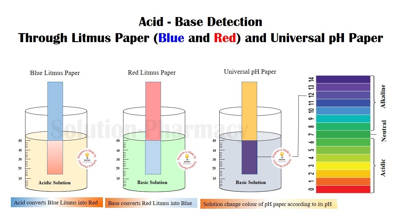 Solved Blue Litmus Paper Is Converted Into Red In Solution Of