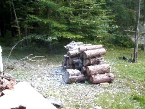 Exploding Monkey Youtube