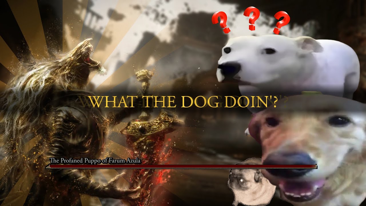 Dog Youtube