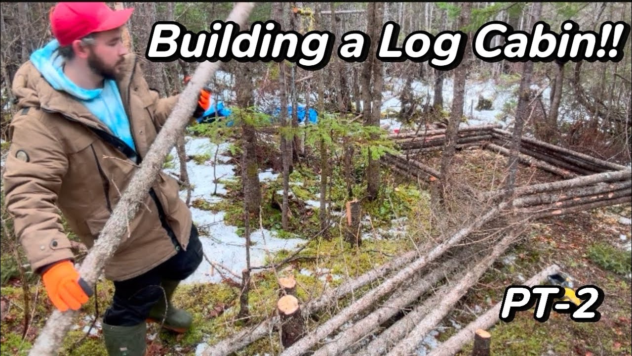 Building A Log Cabin Youtube