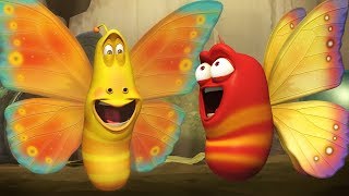 Larva Wild Chicken Cartoon Movie Cartoons For Children Larva