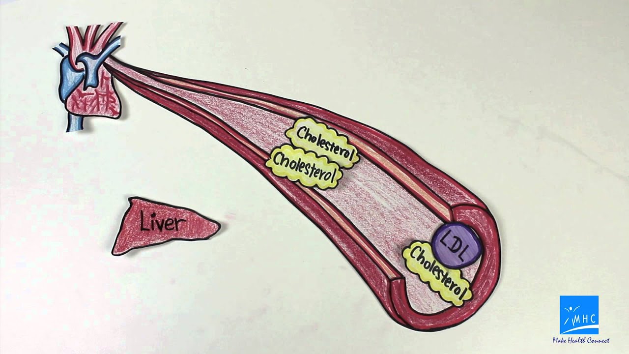 Cholesterol Youtube