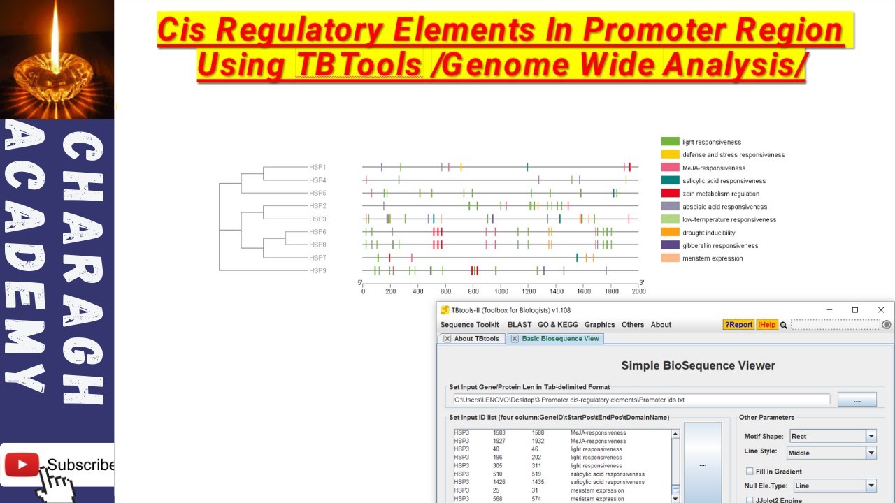 Cis Regulatory Elements In Promoter Region Using Tbtools Genome Wide
