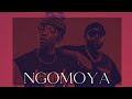Ngomoya Album Mp3 Music & Mp4 video downloads