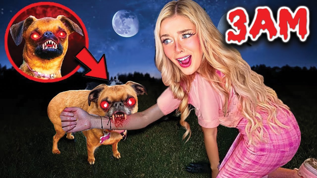 My Possessed Dog Bit Me Full Movie Youtube