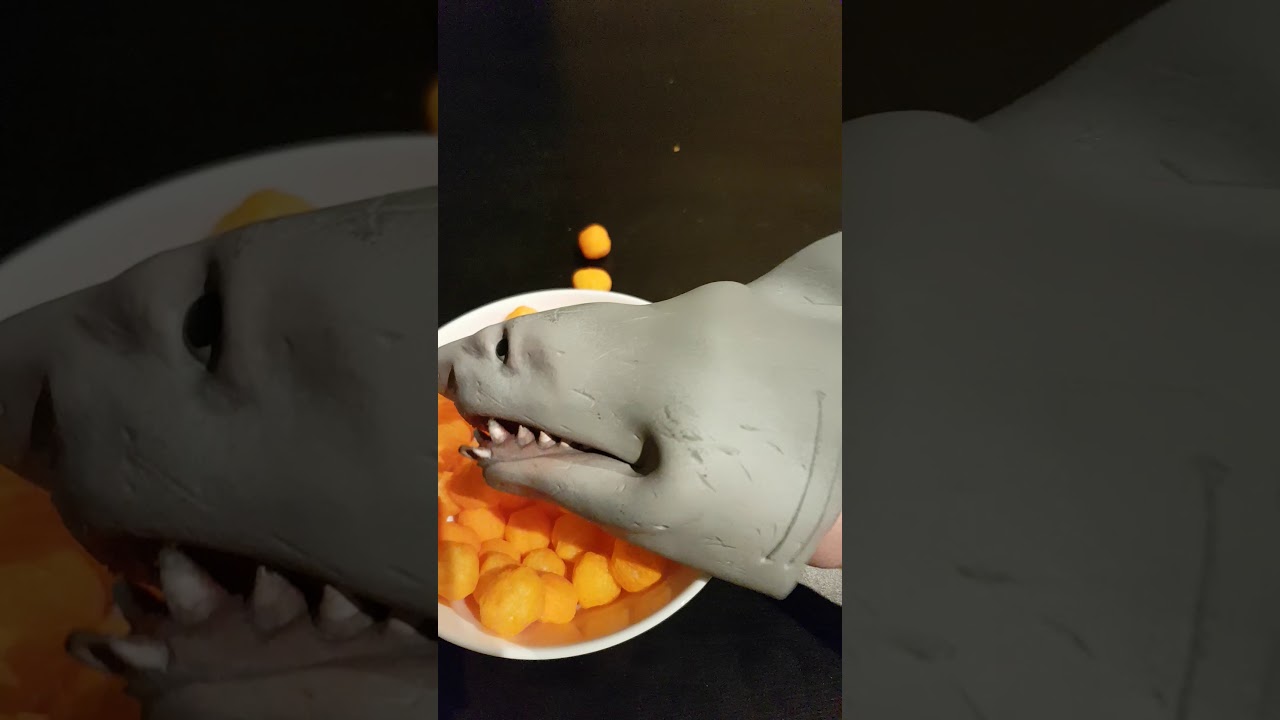 Shark Puppet Eats Cheese Balls Youtube