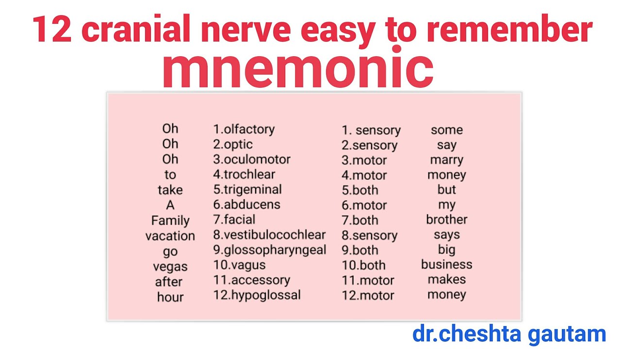 12 Cranial Nerves Mnemonic Easy To Remember Youtube