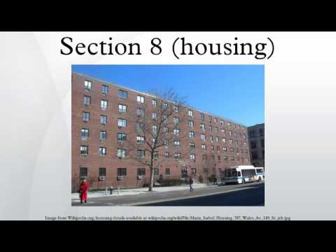 Section 8 Housing Youtube