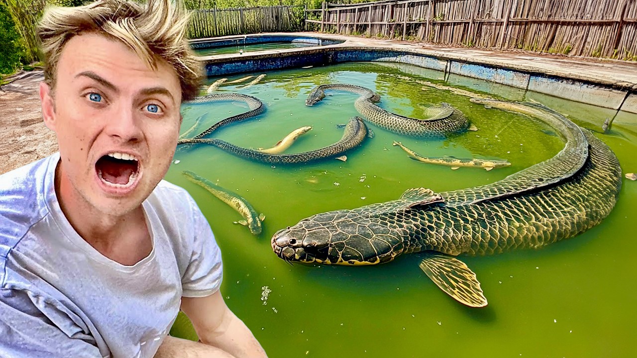 I Caught The Deadly Monsters Attacking My Fish Youtube