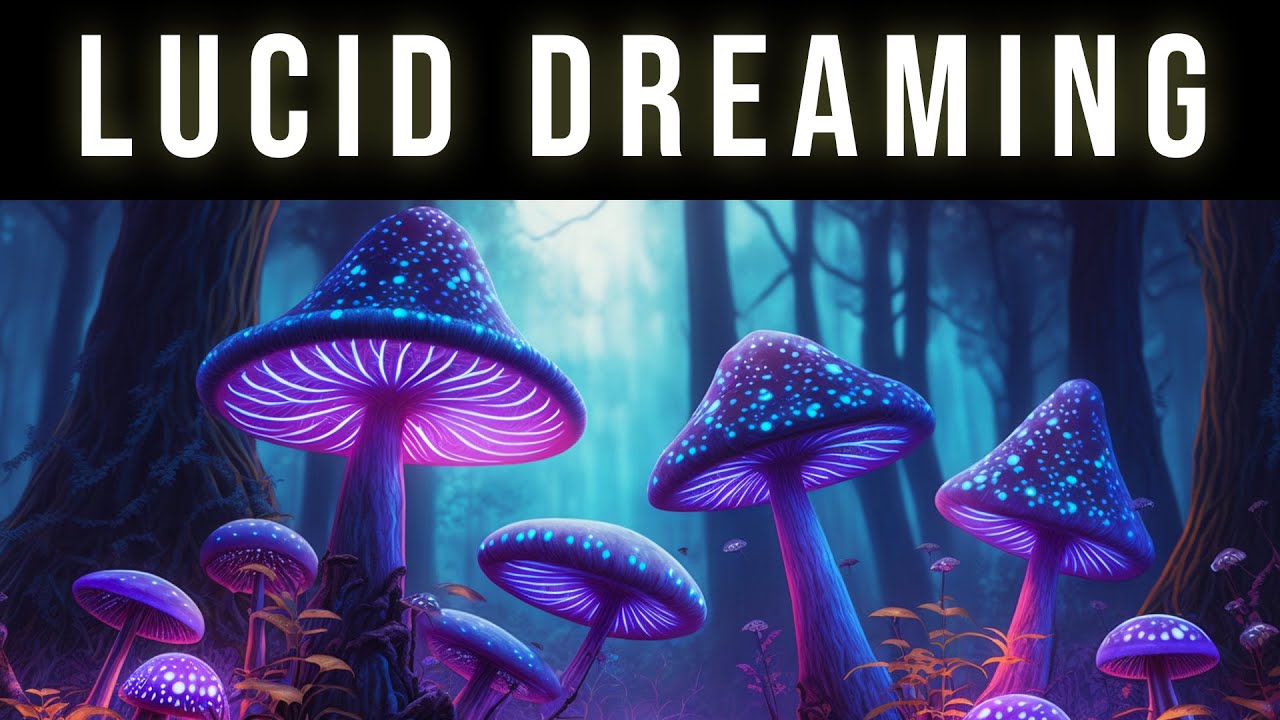 Rem Lucid Dream Method At Helene Winkleman Blog