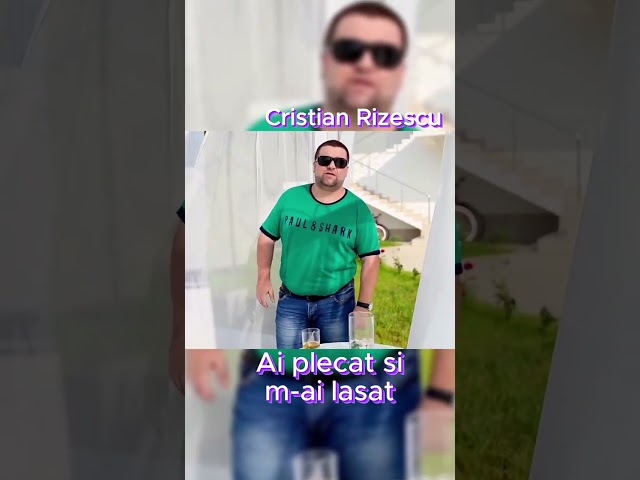 Ai plecat si m-ai lasat