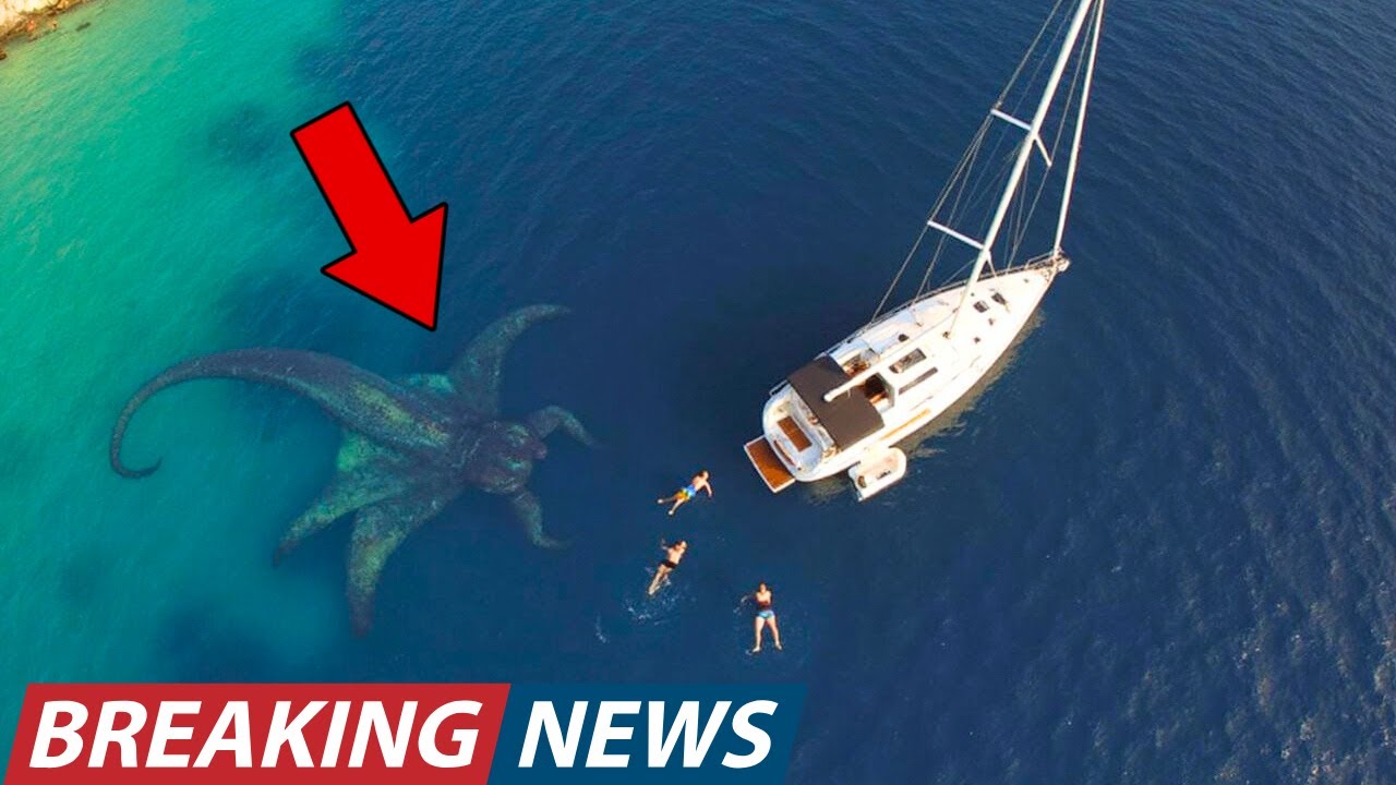 Drone Captured New Heart Stopping Footage Of Massive Unknown Sea