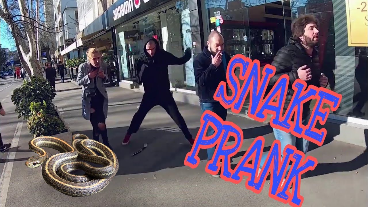 Funniest Snake Prank Ever Must Watch Trending Now Youtube
