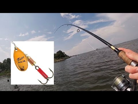 Best Lure For White Perch How To Fish Cover For White Perch In