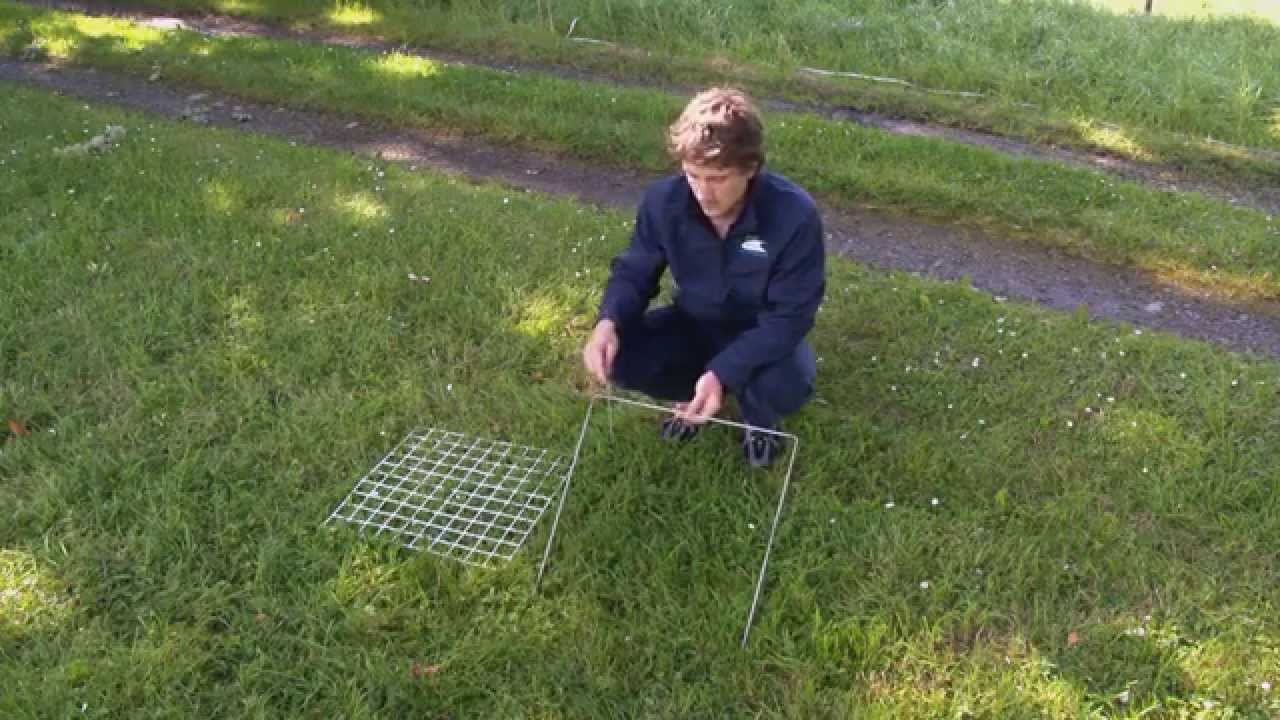 Sampling Strategies Youtube