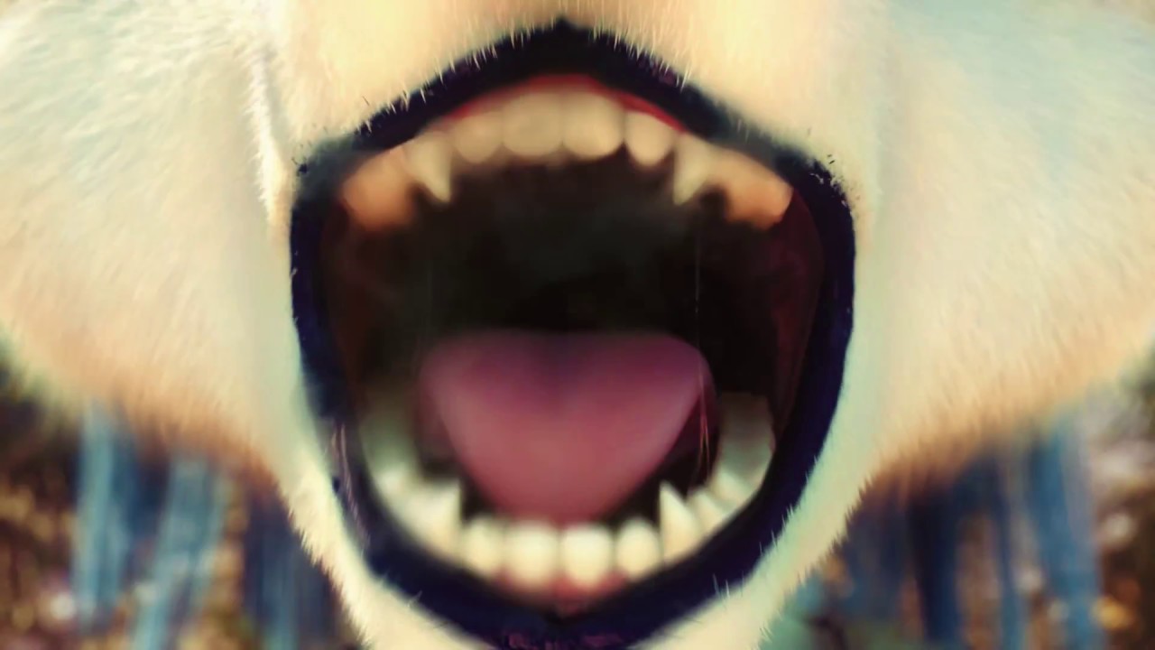 Zoe Vore And Burps Youtube