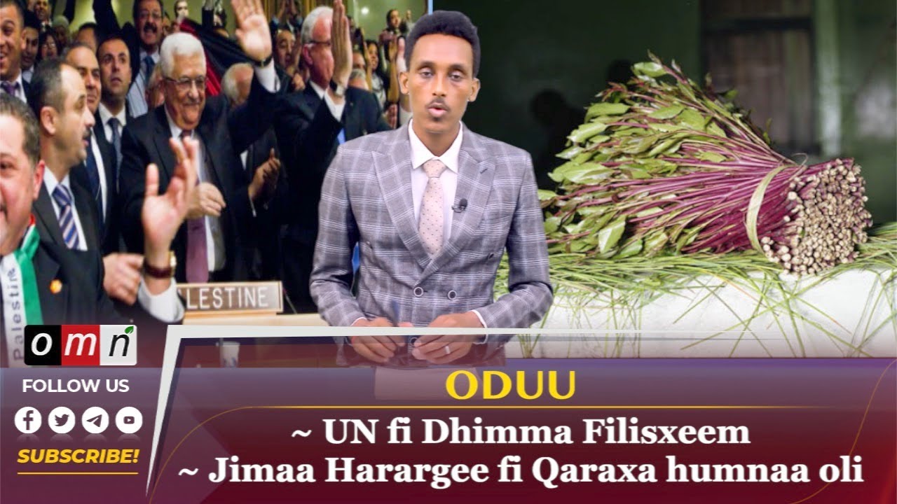 Omn Oduu Caamsaa 11 2024 Youtube