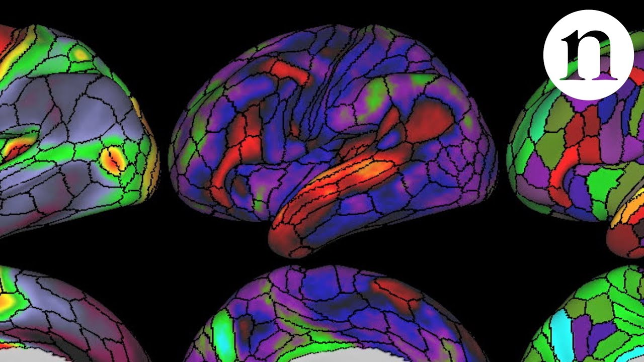 The Ultimate Brain Map Youtube
