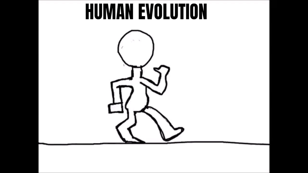 Human Evolution Animated Youtube