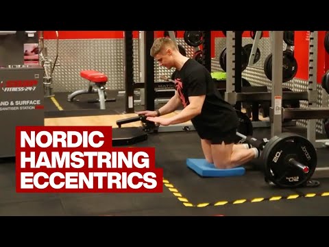 Nordic Hamstring Eccentrics Youtube