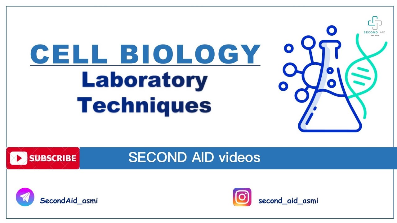 Laboratory Techniques Youtube