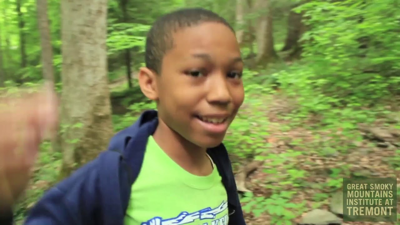 Smokiescool All The Salamanders Youtube
