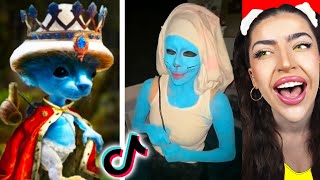 Funniest Smurf Cat Meme Tiktok Compilation We Live We Doovi
