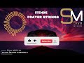 Itende Instrumental Ungukuphila Siya Mkhize Prayer Strings Mp3 Music ...