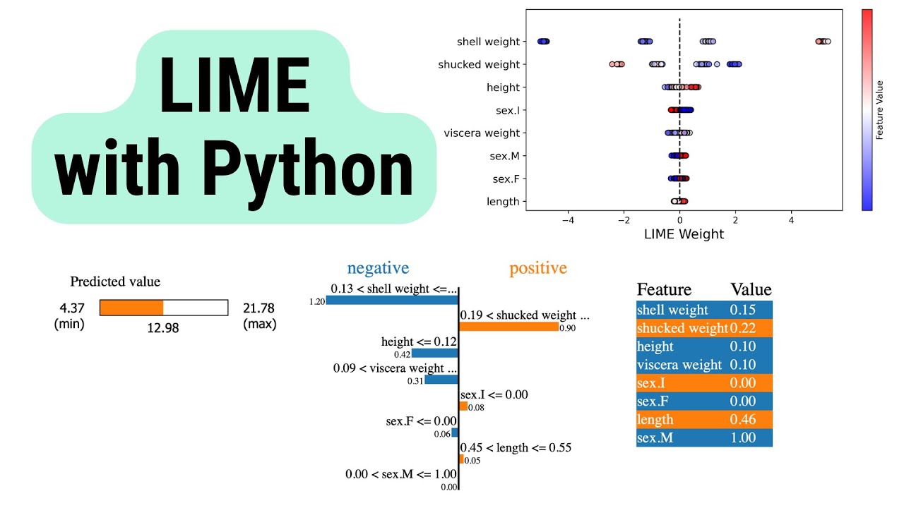 Applying Lime With Python Local Global Interpretations Youtube