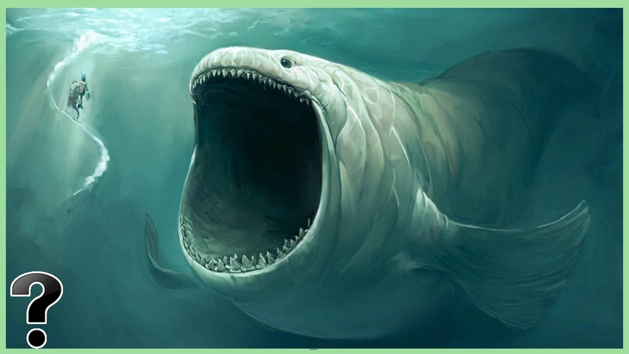 What Is At The Bottom Of The Mariana Trench Youtube