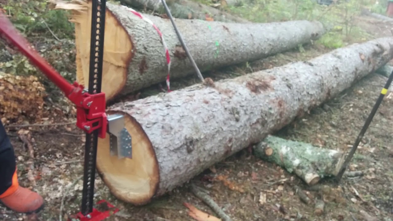 Timber Youtube