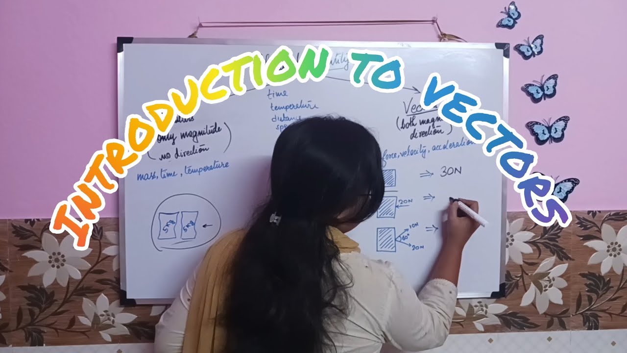 Introduction To Vectors Vectors 1 Youtube
