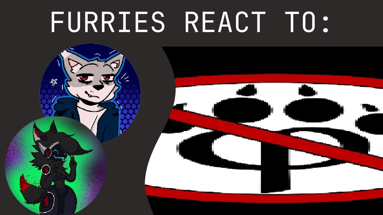 Furries React To Anti Furry Memes Youtube