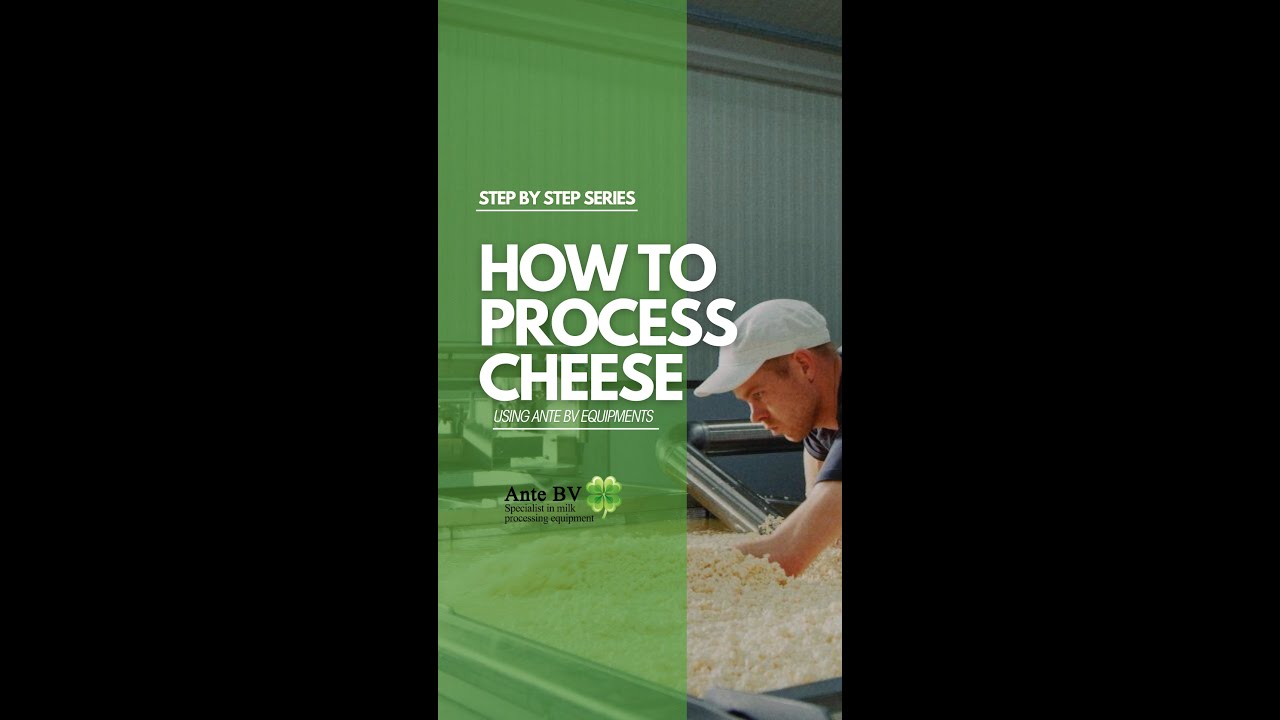 The Process Of Making Cheese Youtube