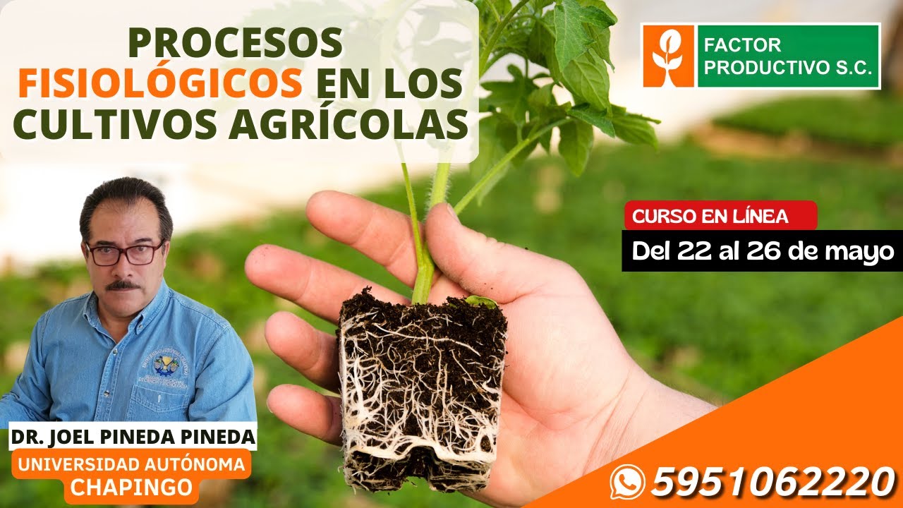 Curso Procesos Fisiológicos En Cultivos Agrícolas Youtube