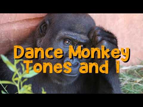Dance Monkey 10 Hour Music Youtube