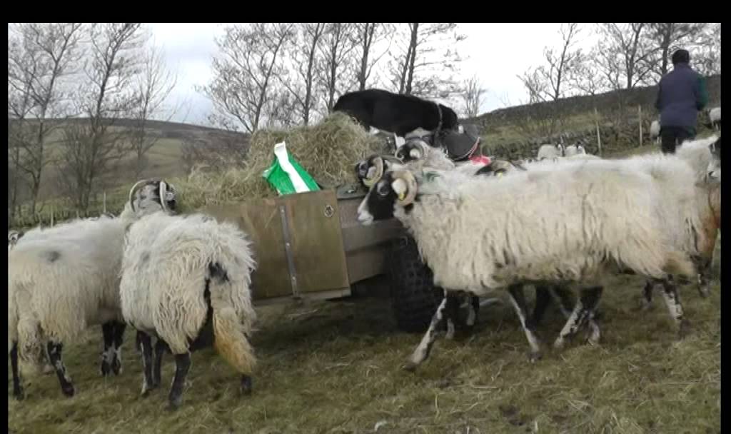 The Hillfarm Year Winter Into Spring Youtube