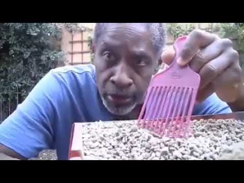 Tim Russ We Ain T Found Youtube
