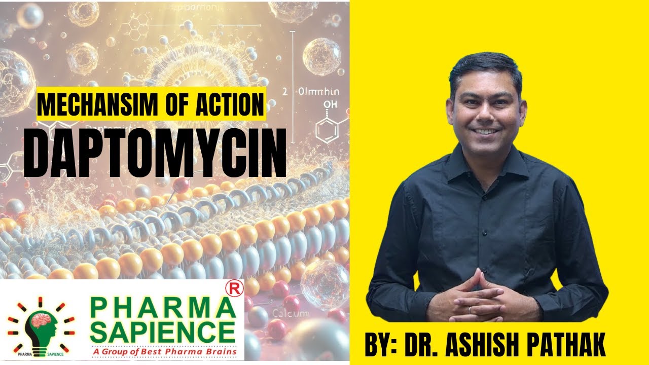Mechanism Of Action Of Daptomycin Pharma Sapience Youtube