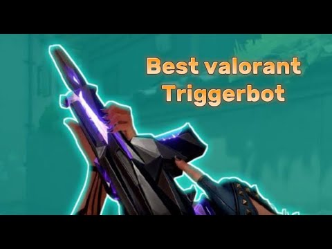 Best Free Triggerbot Youtube