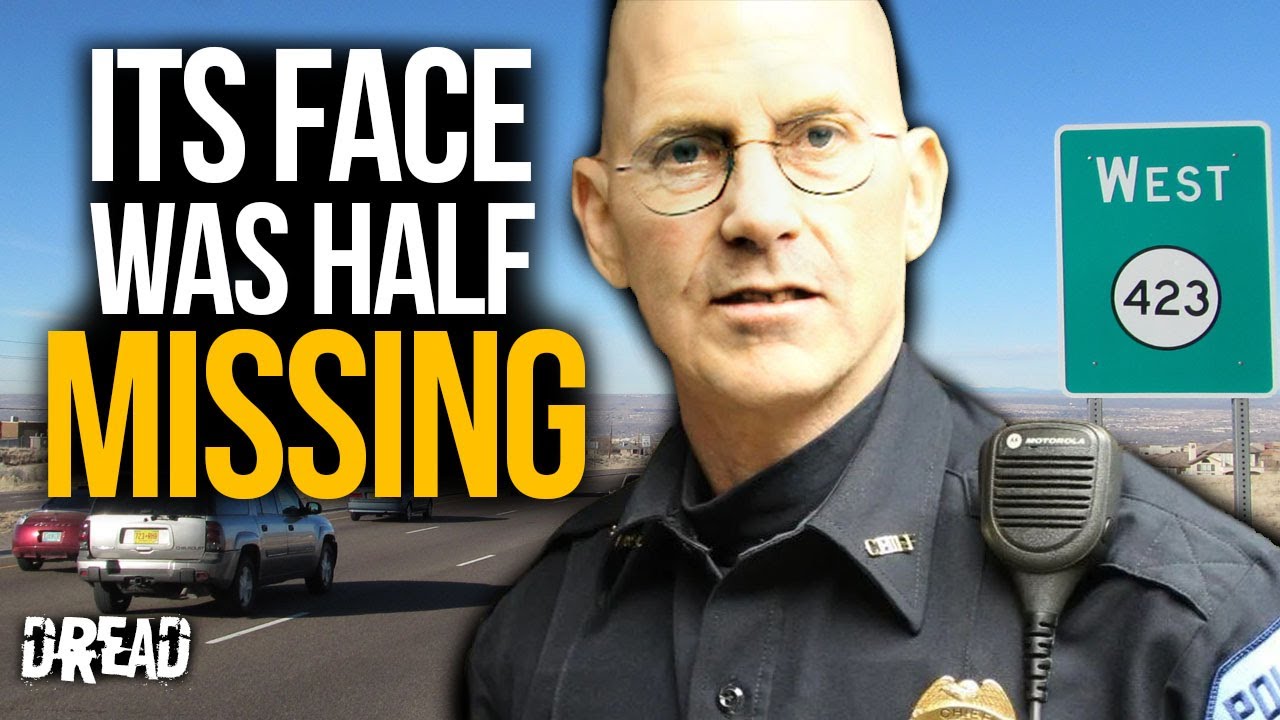 Police Officer S Dash Cam Captured This Youtube