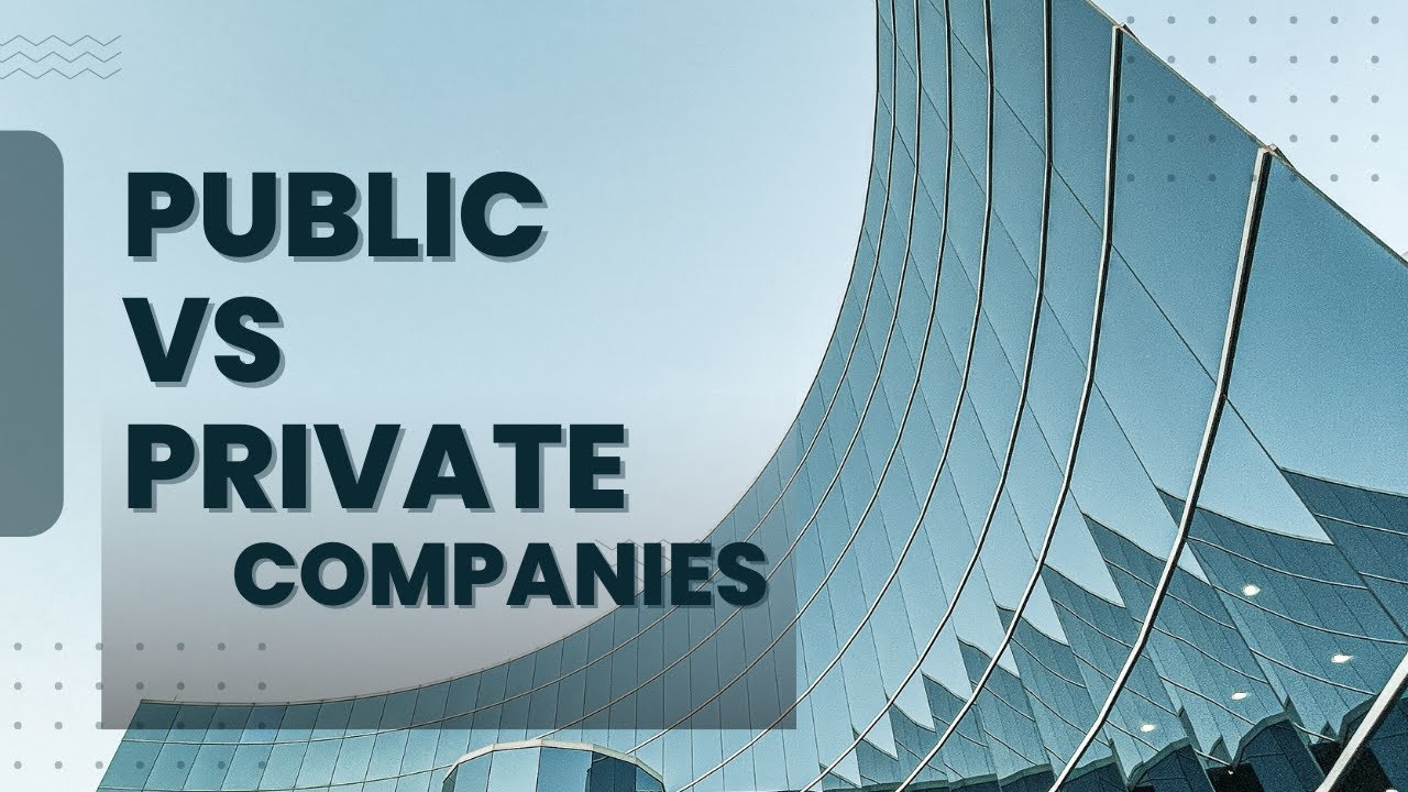 Public Vs Private Companies Key Differences Explained In 5 Minutes